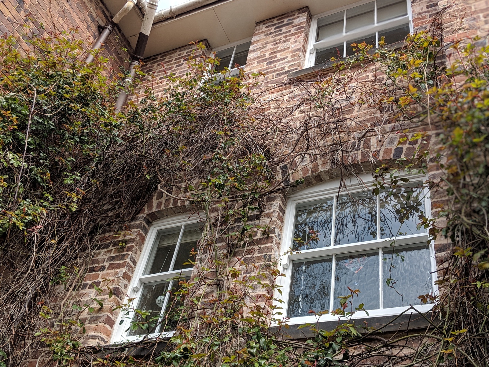 Sash Window Draught-Seal & Overhauls – William Richards Sash Windows